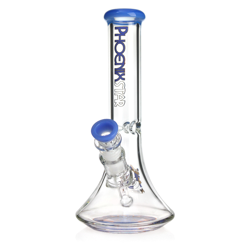 Phoenixstar 10" Beaker Bong with Ice Catcher for Cool Summer Smoking